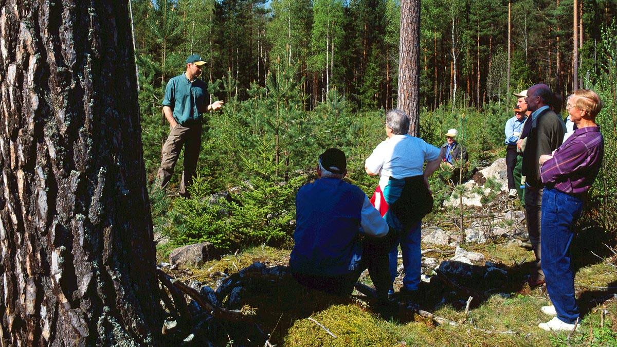 Mer om förvärv av skog - Skogskunskap