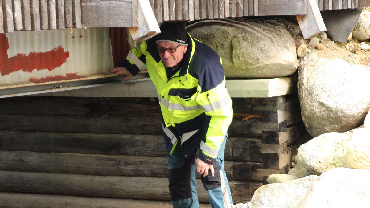 Förvaltning av broar - Skogskunskap